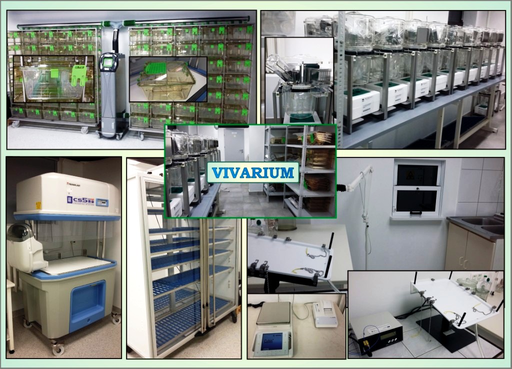 dr hab. Agnieszka Ścibior prof. KUL - O mnie